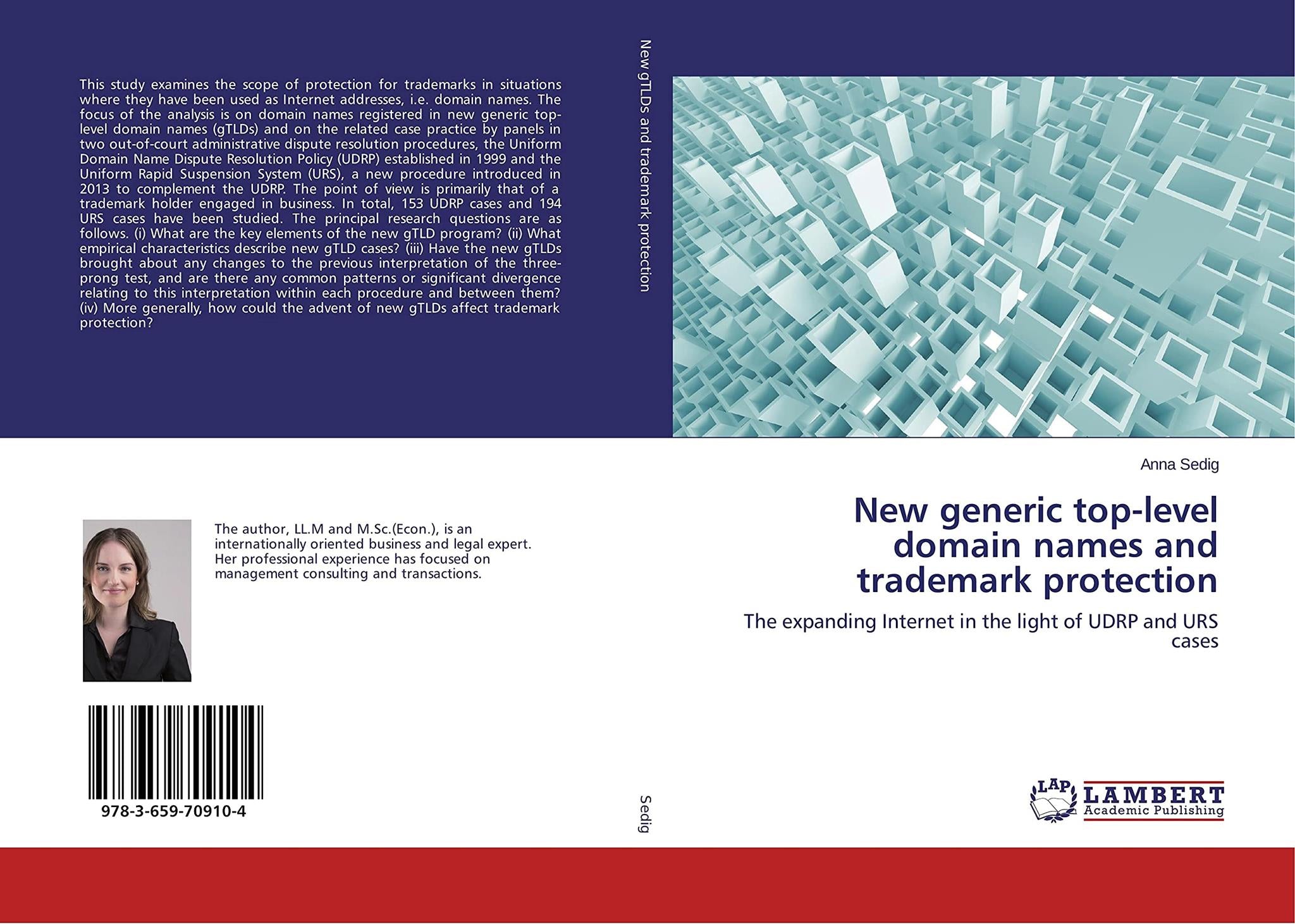 New generic top-level domain names and trademark protection: The ...