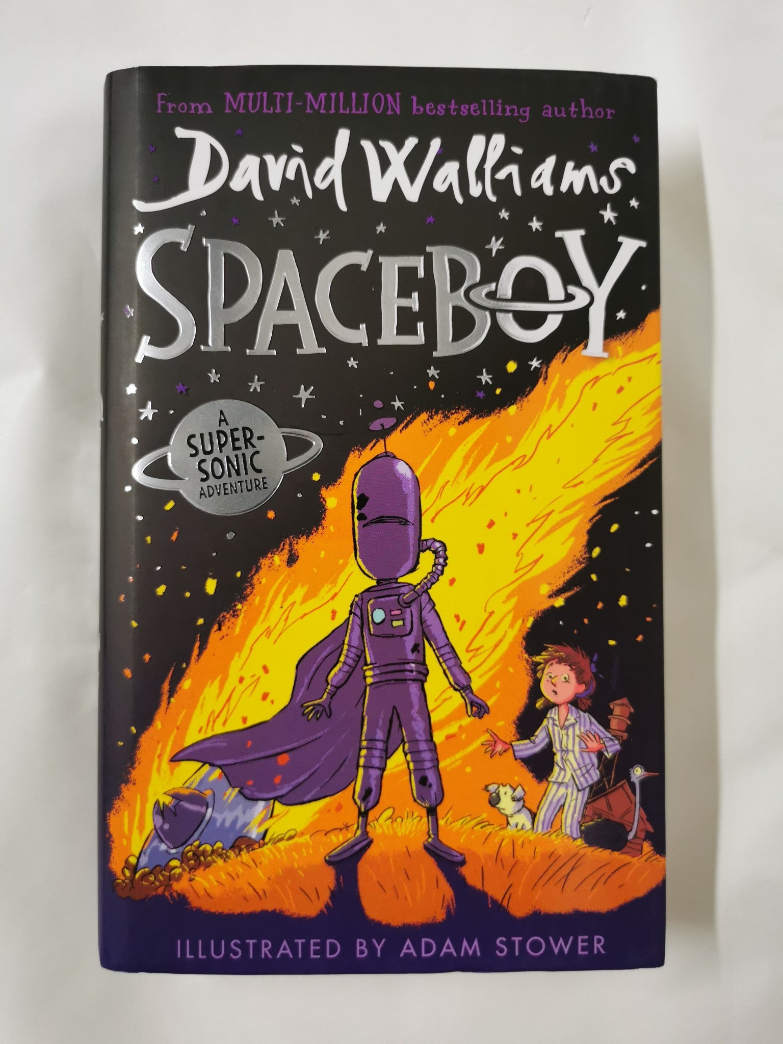 SPACEBOY by David Walliams by David Walliams – Perkology Books